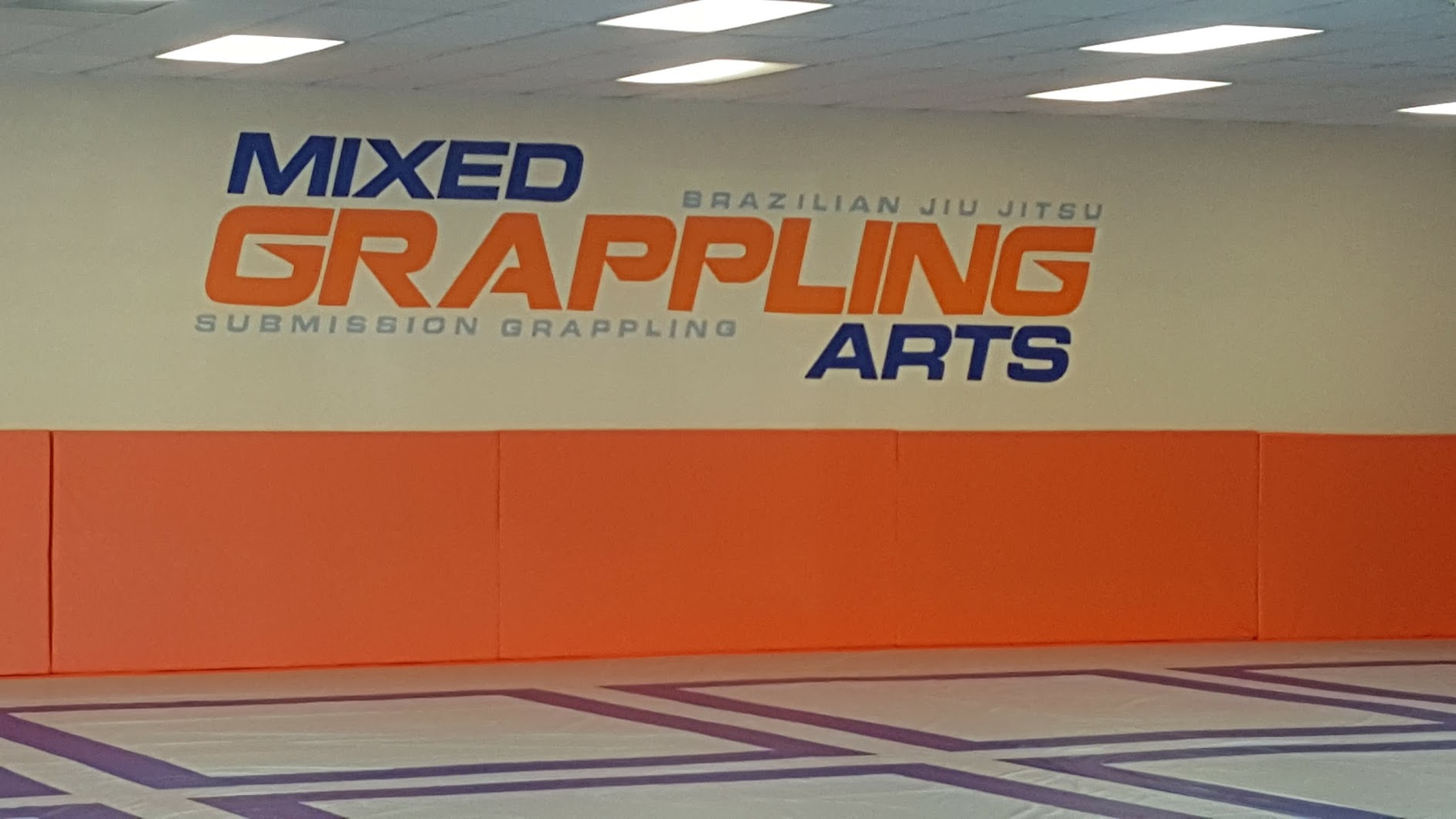 Mixed Grappling Logo - Bay Area Muralist, Best Custom Murals In San ...