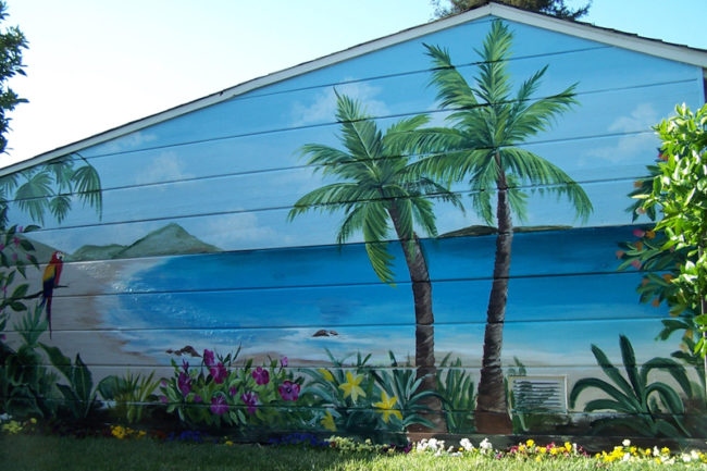Exterior Pool Murals - SF Bay Area Muralist
